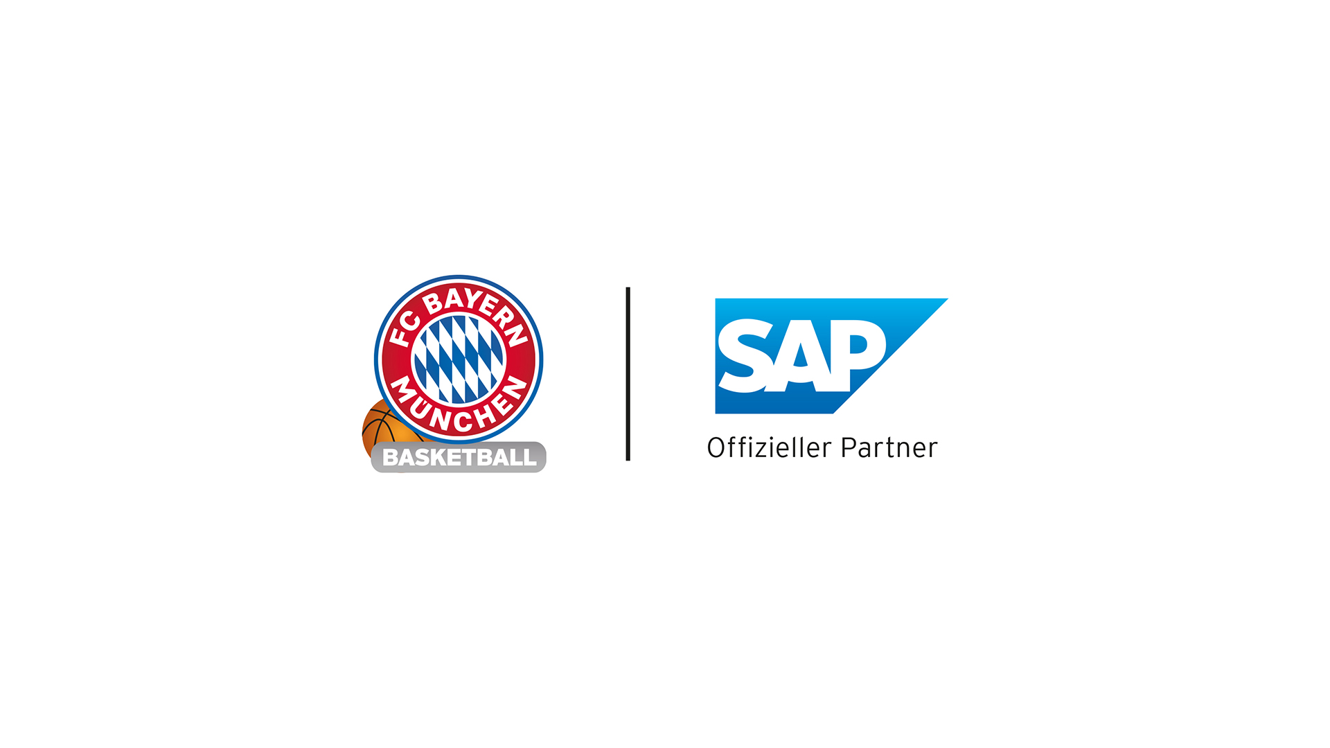Sap Logon