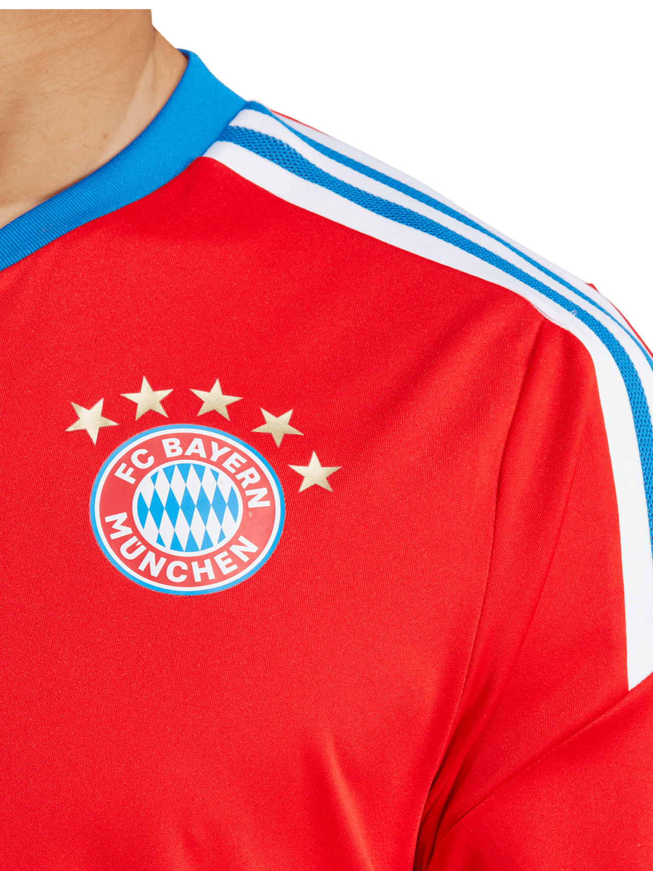 Men Teamline Training Shirt red | Official FC Bayern Munich Store