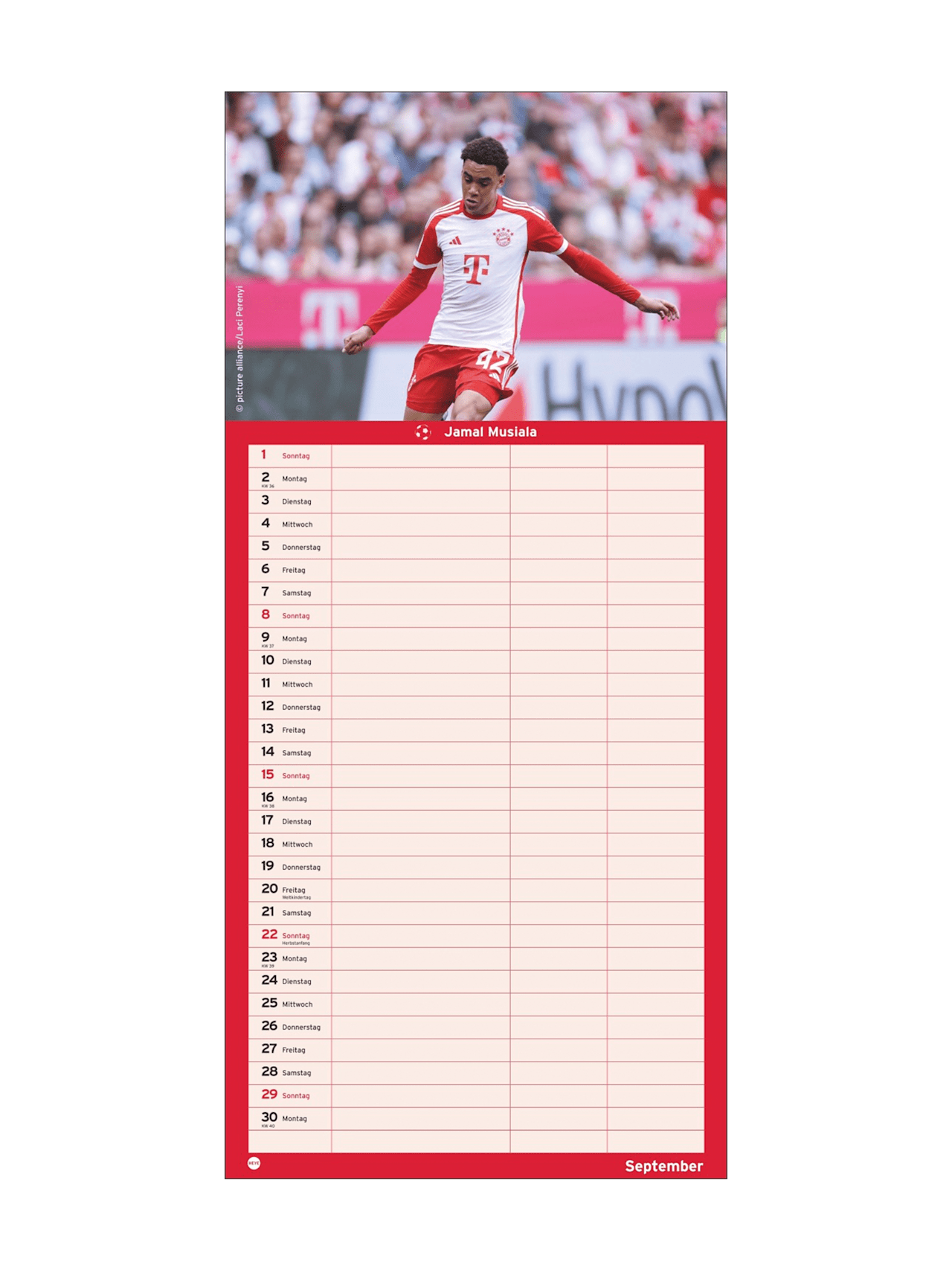 Fan planner 2024 | Official FC Bayern Munich Store