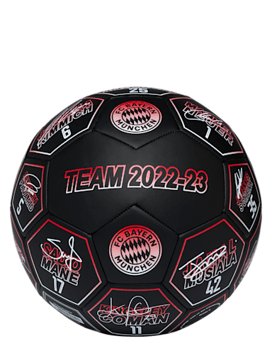 Balls | Official FC Bayern Munich Store