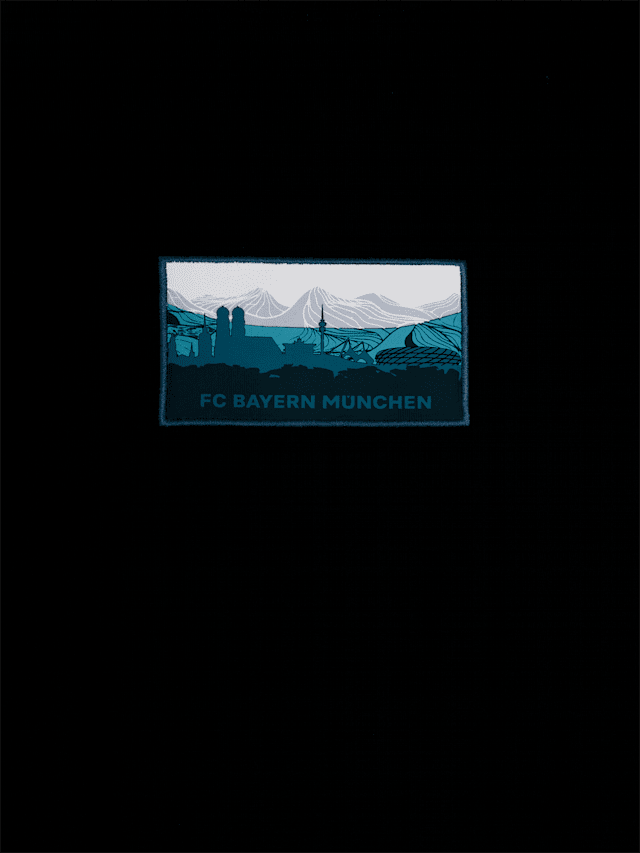 Men Long sleeve mountain skyline black | Official FC Bayern Munich Store