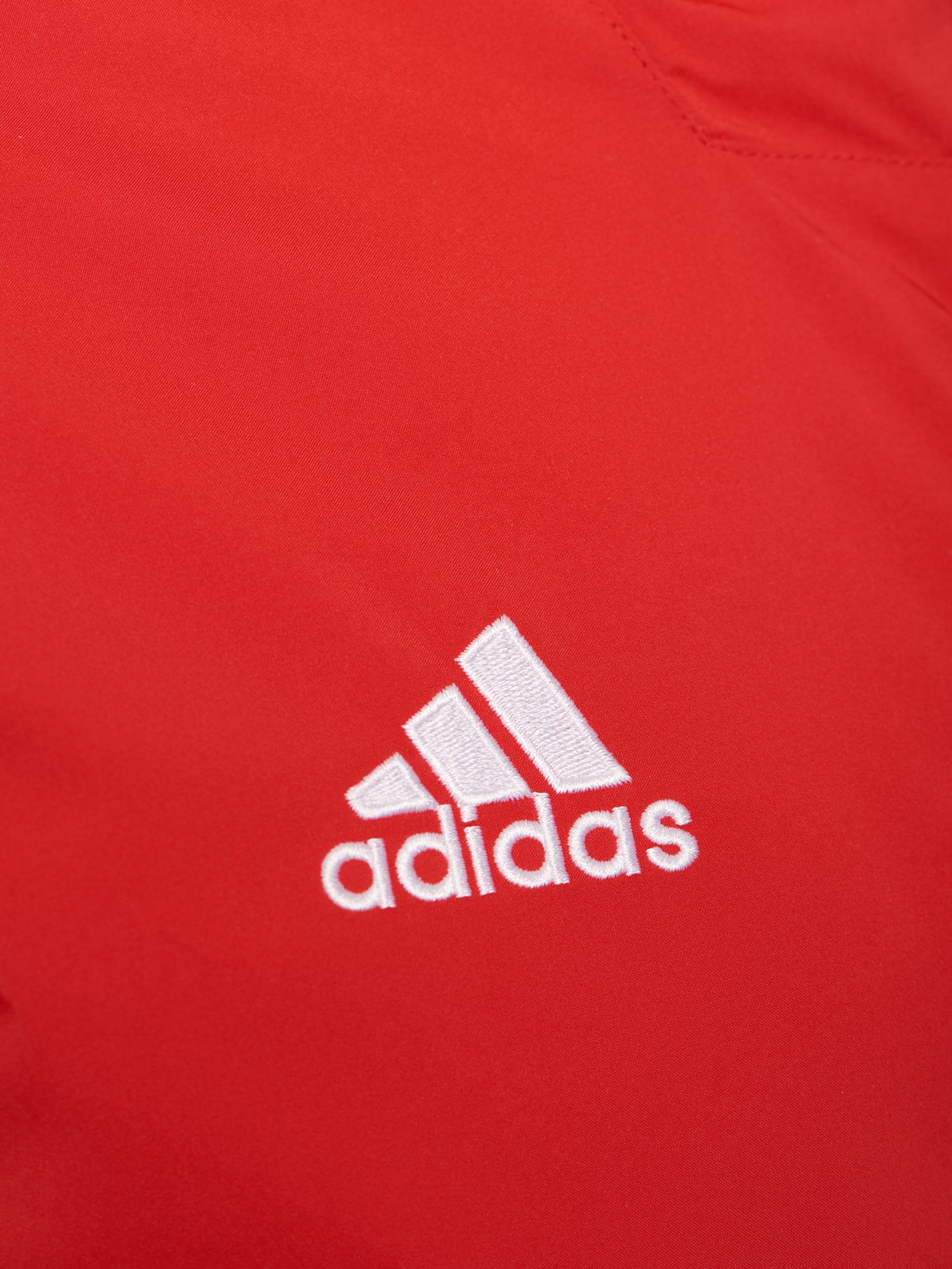 Men Team spirit jacket red | Official FC Bayern Munich Store