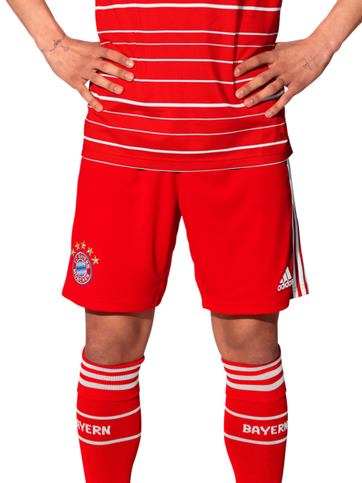 Men Home shorts 22-23 red | Official FC Bayern Munich Store