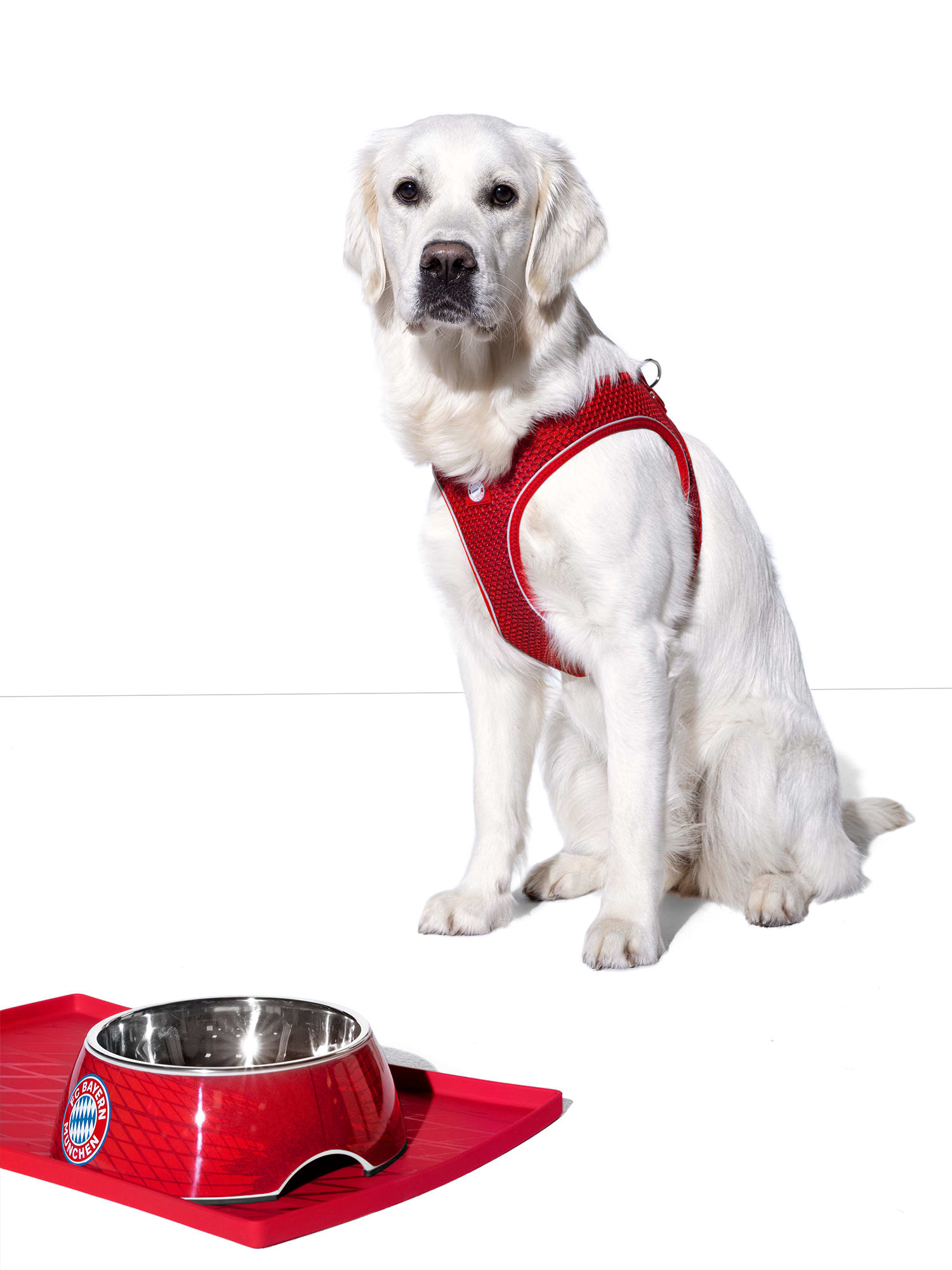 Hilo Comfort Dog Harness | Official FC Bayern Munich Store