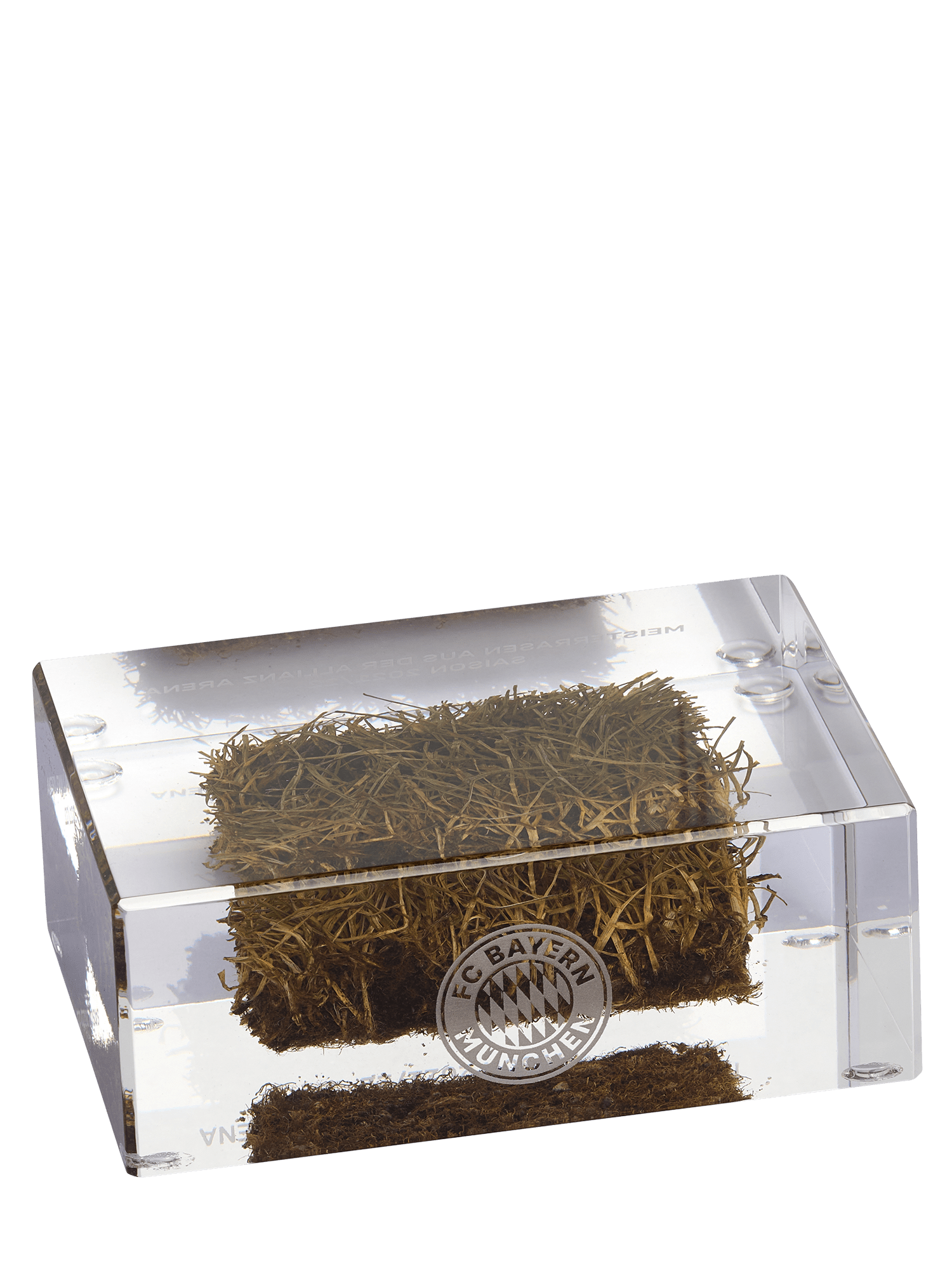 Allianz Arena champion lawn in acrylic | Official FC Bayern Munich Store