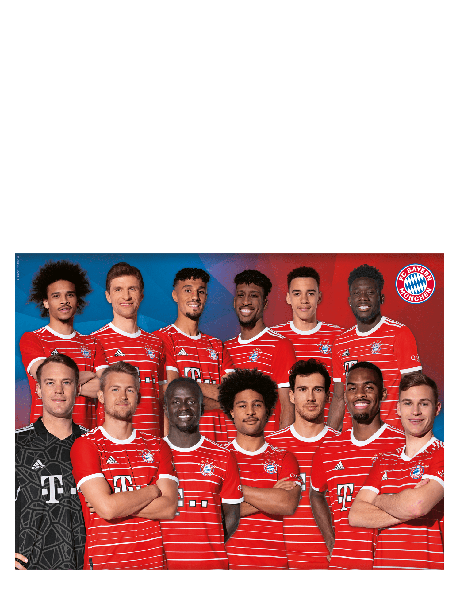 Puzzle Team 22-23 300 pieces | Official FC Bayern Munich Store
