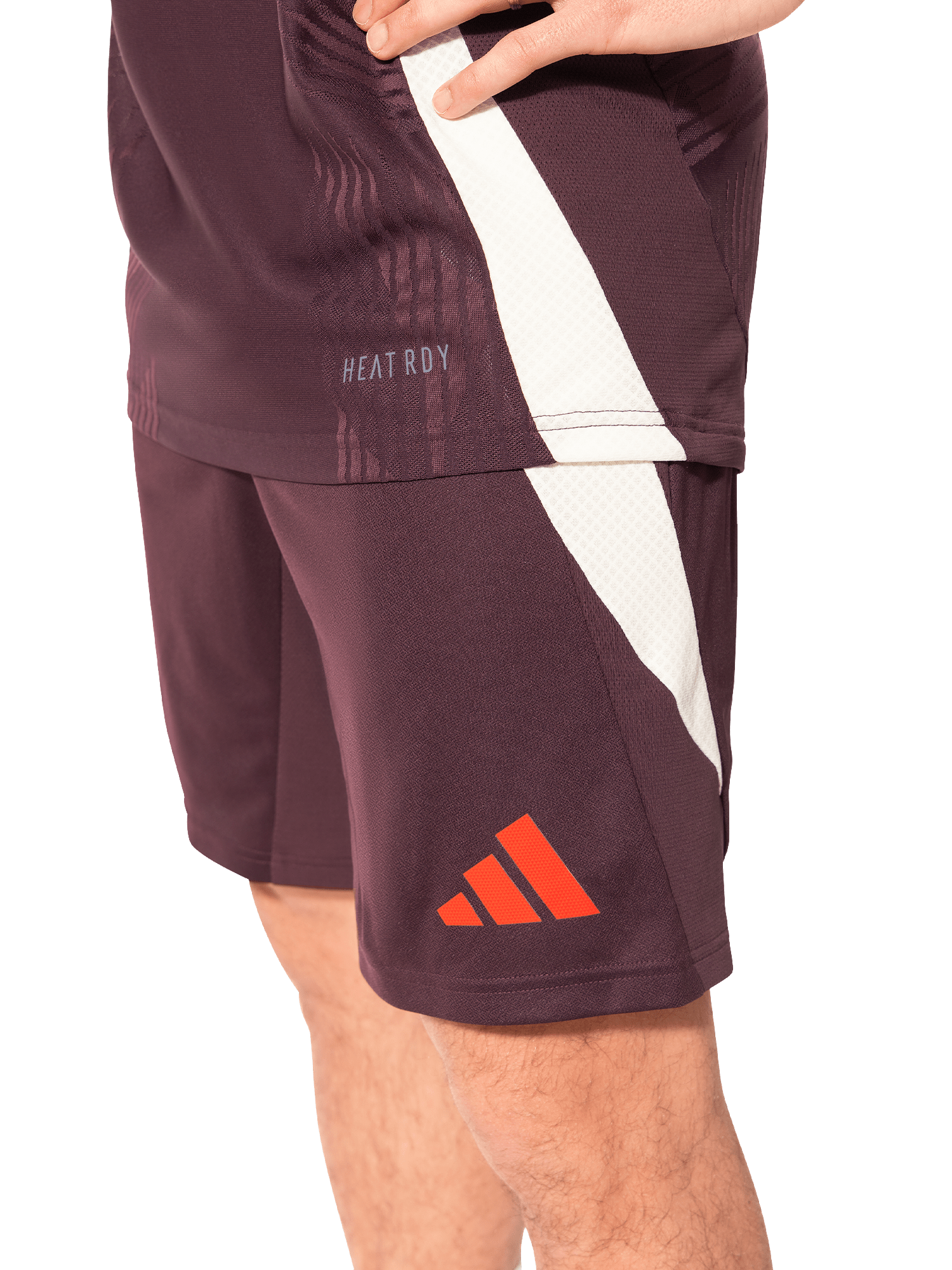 Men PRO training shirt Teamline bordeaux | Official FC Bayern Munich Store