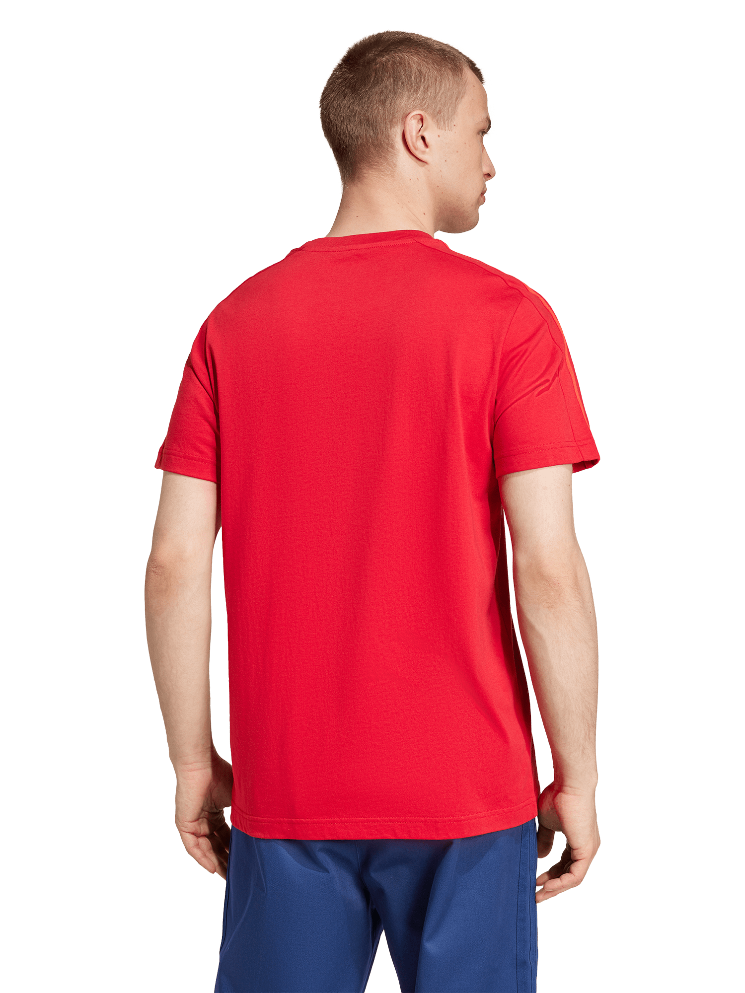 Men T-shirt DNA bordeaux | Official FC Bayern Munich Store