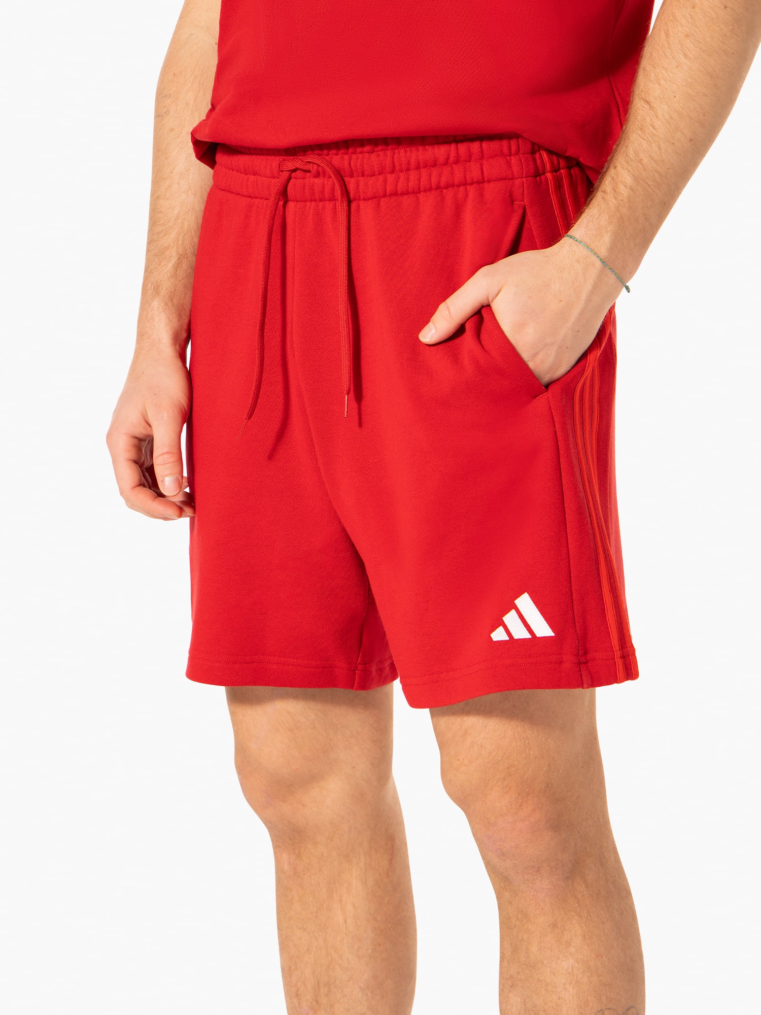 Men Short DNA bordeaux | Official FC Bayern Munich Store