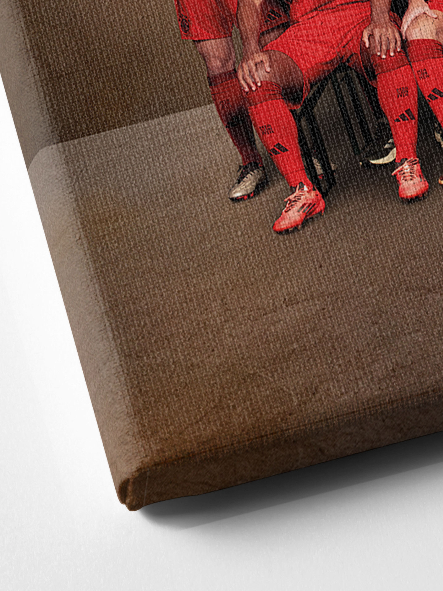 Leinwand Mannschaftsfoto 2024-25 | Offizieller FC Bayern Store