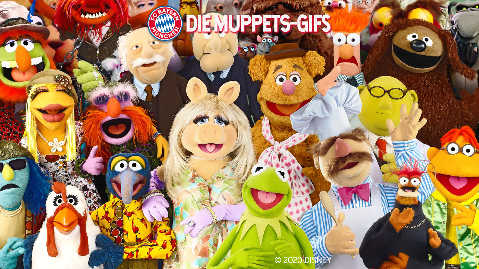 Muppet Show Wallpaper Die Muppet Show | Serie 1976 | TV MEDIA