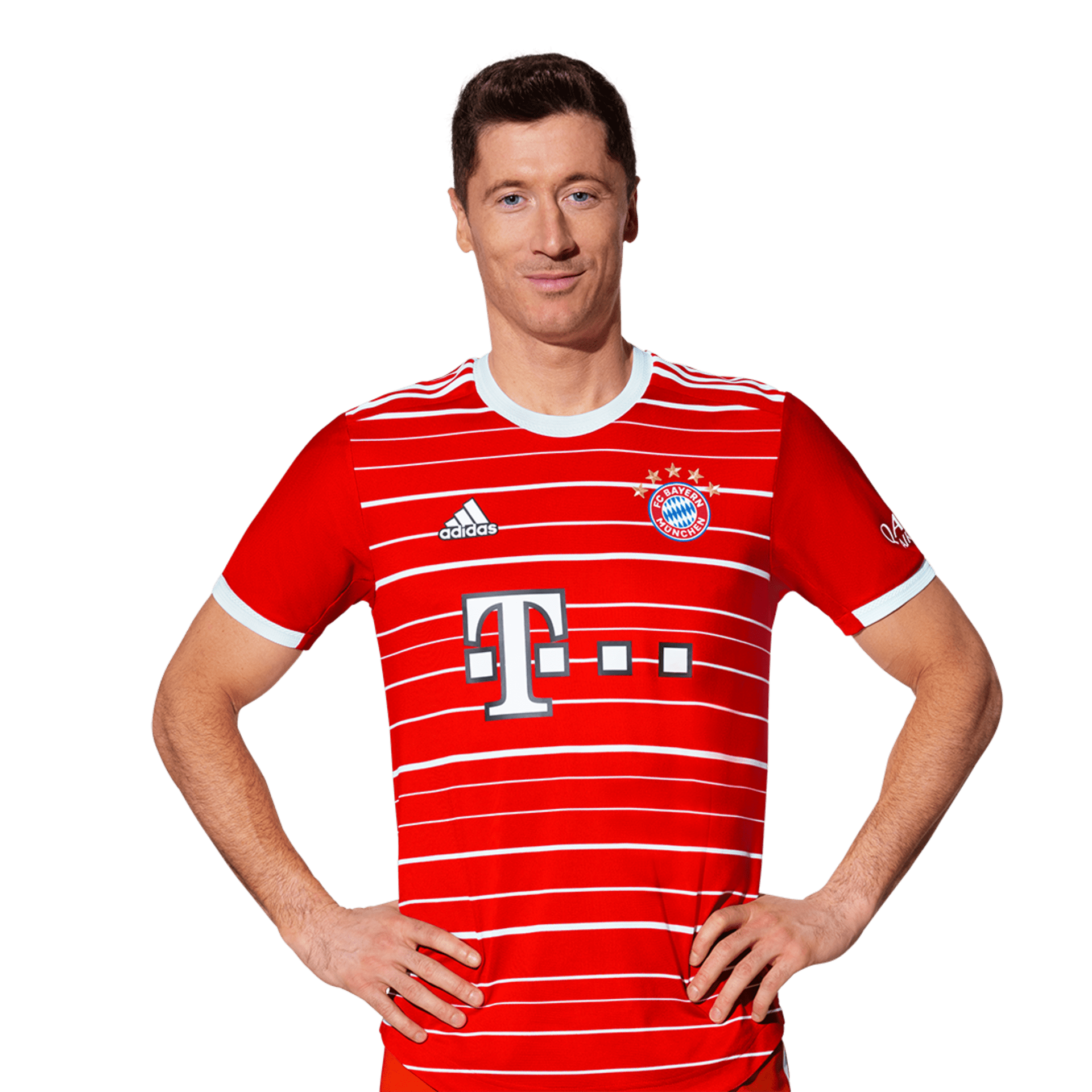 robert lewandoks