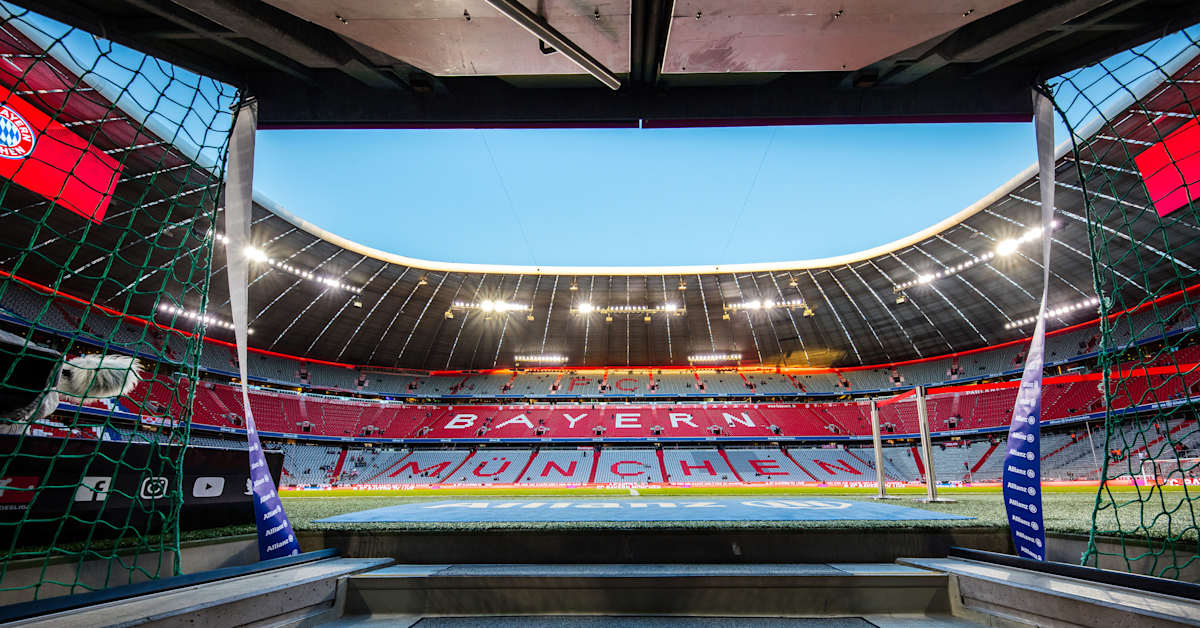 Exclusive matchday tour