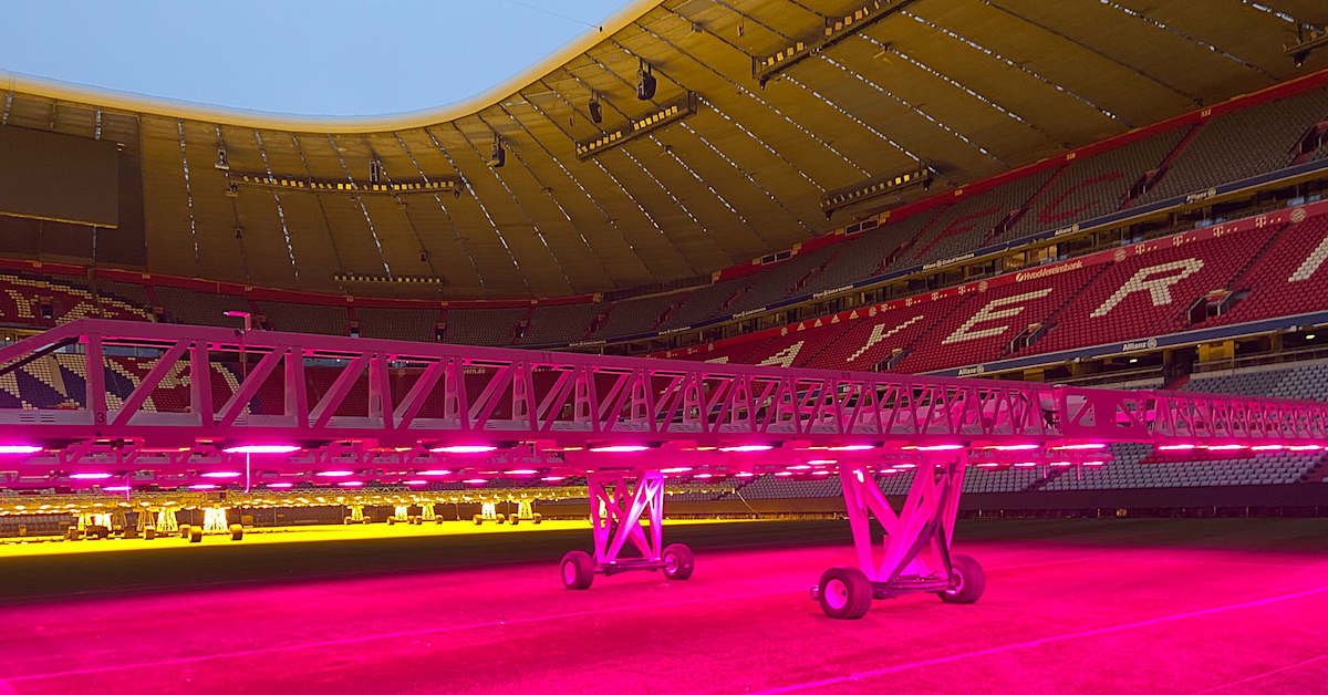 LED grow lighting technology for full pitch inside stadium