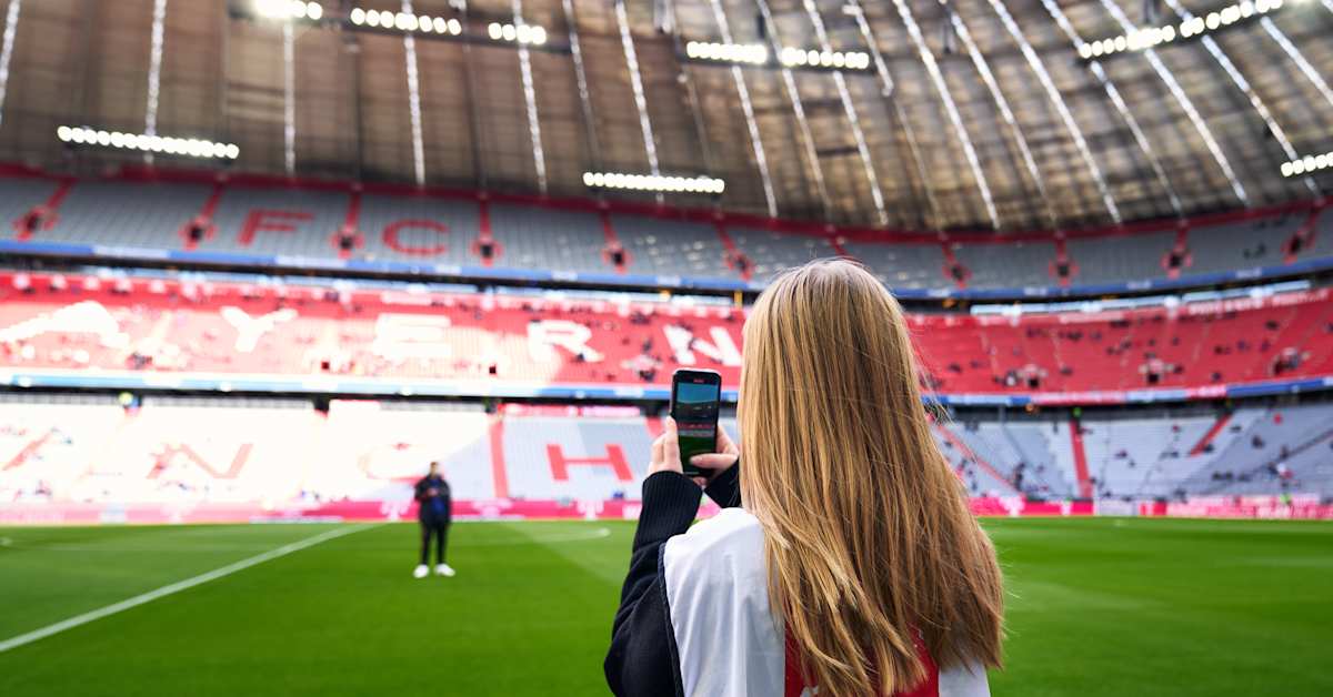 Ausbildung & Studium