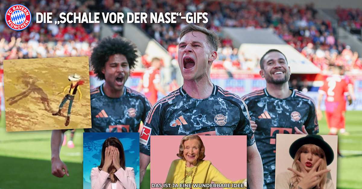 Die "Schale vor der Nase"-GIFs