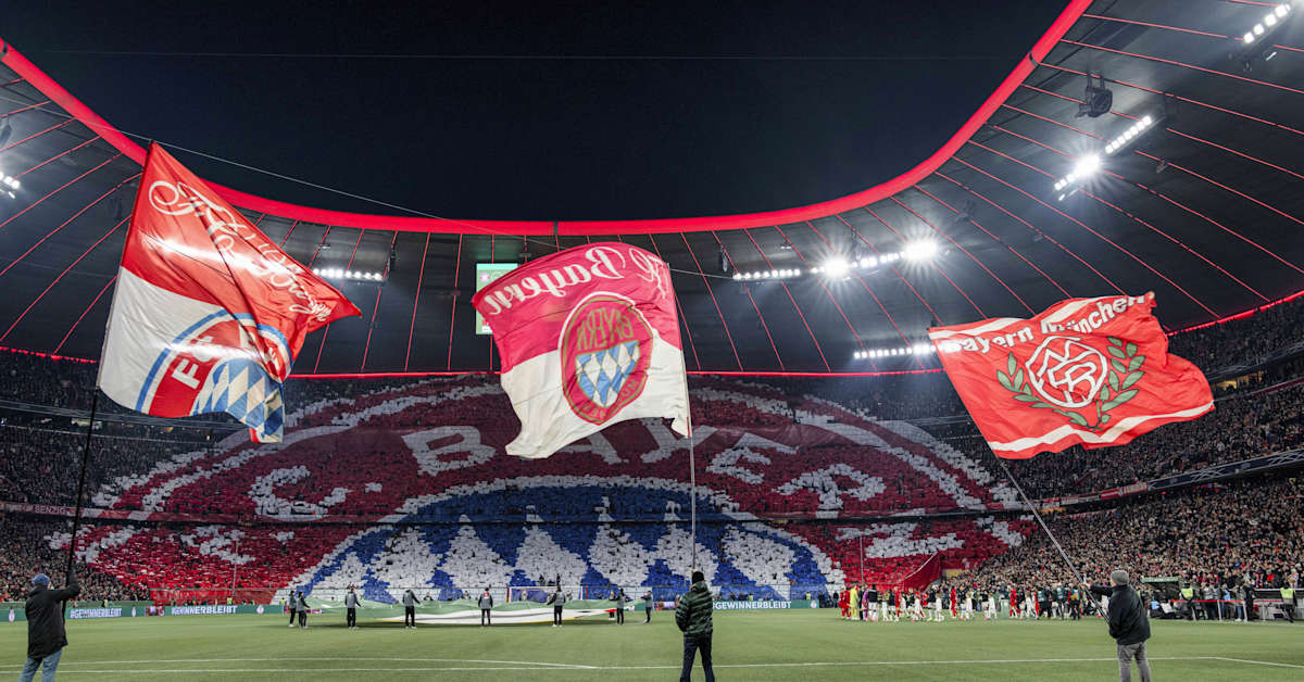 Studie zum volkswirtschaftlichen Nutzen: FC Bayern bringt Stadt und ...