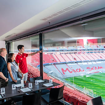 Experience VIP tours in the Allianz Arena