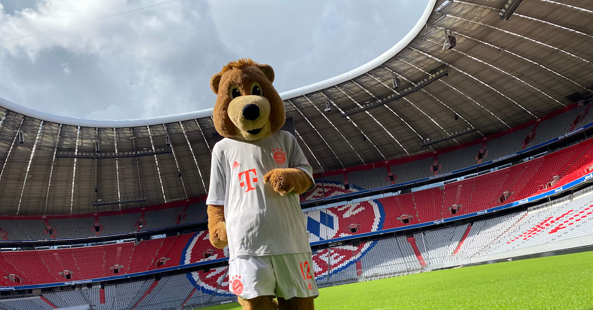 Berni trainiert mit der Koordinationsleiter (Teil 3)