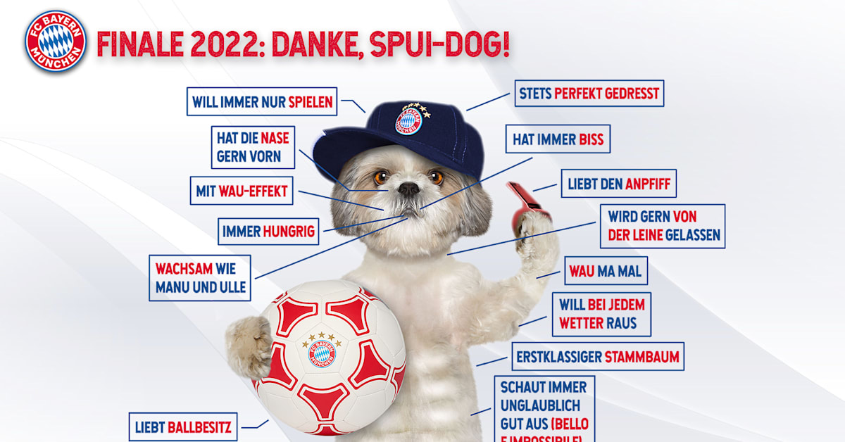 Finale 2022: Danke, Spui-Dog!
