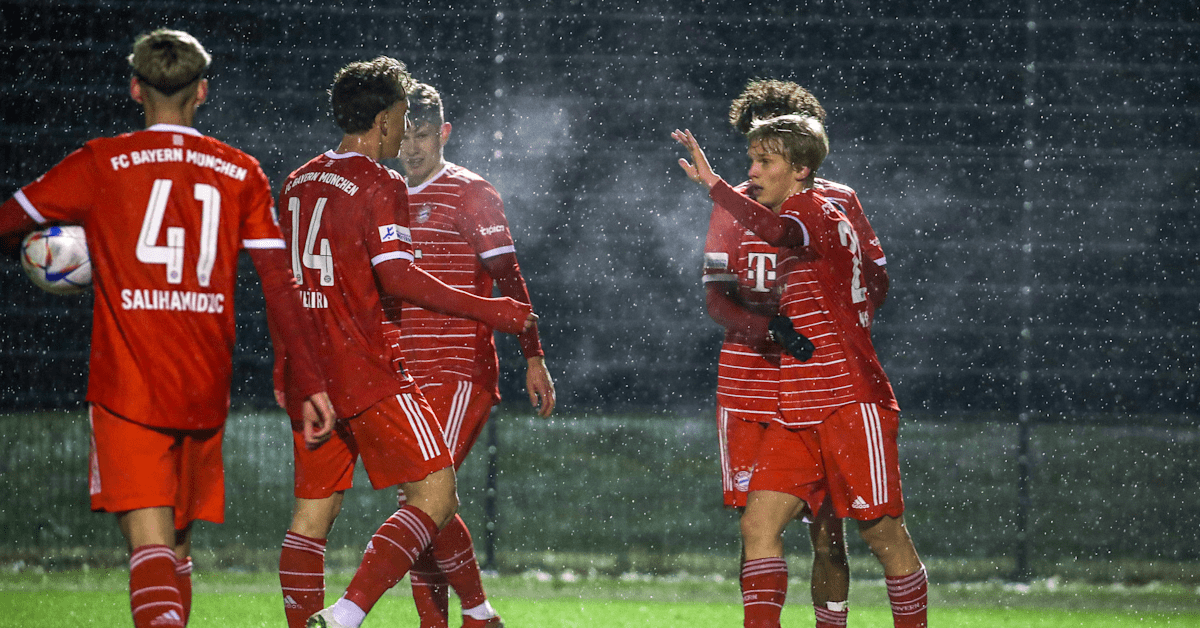 Spielbericht: FC Bayern Amateure - SV Ried