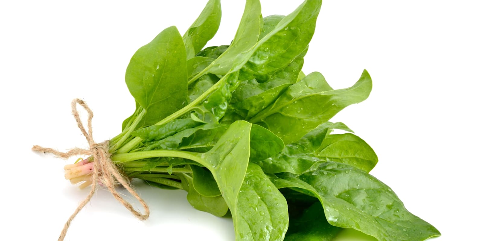 Spinat - Rezepte Suchen