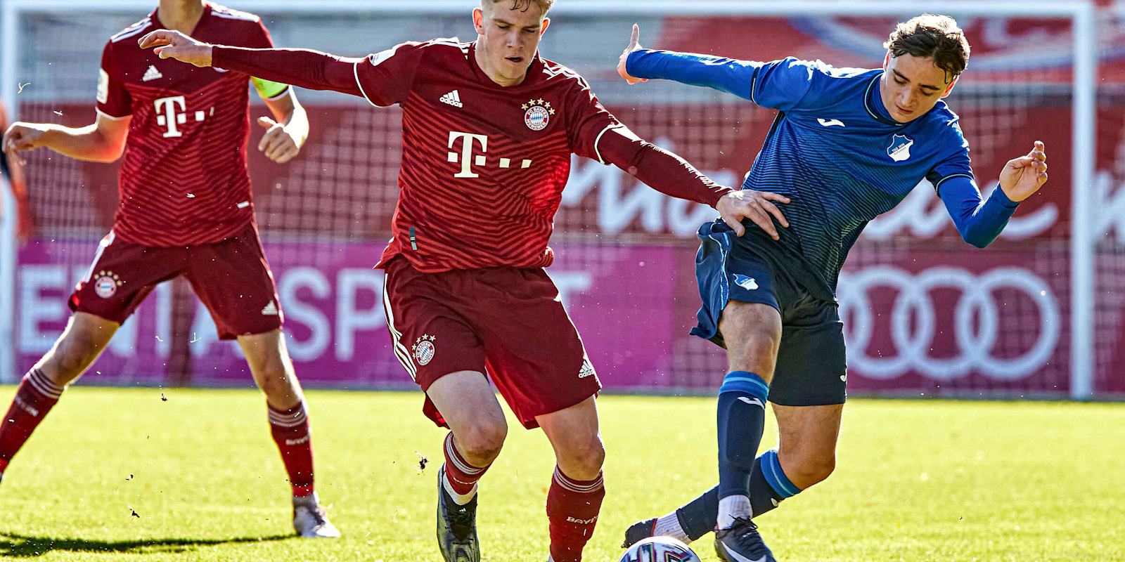 Spielbericht: FC Bayern U19 - TSG Hoffenheim U19