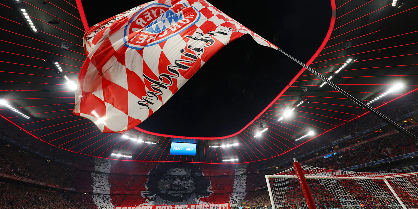 Five unforgettable fan moments in 2022